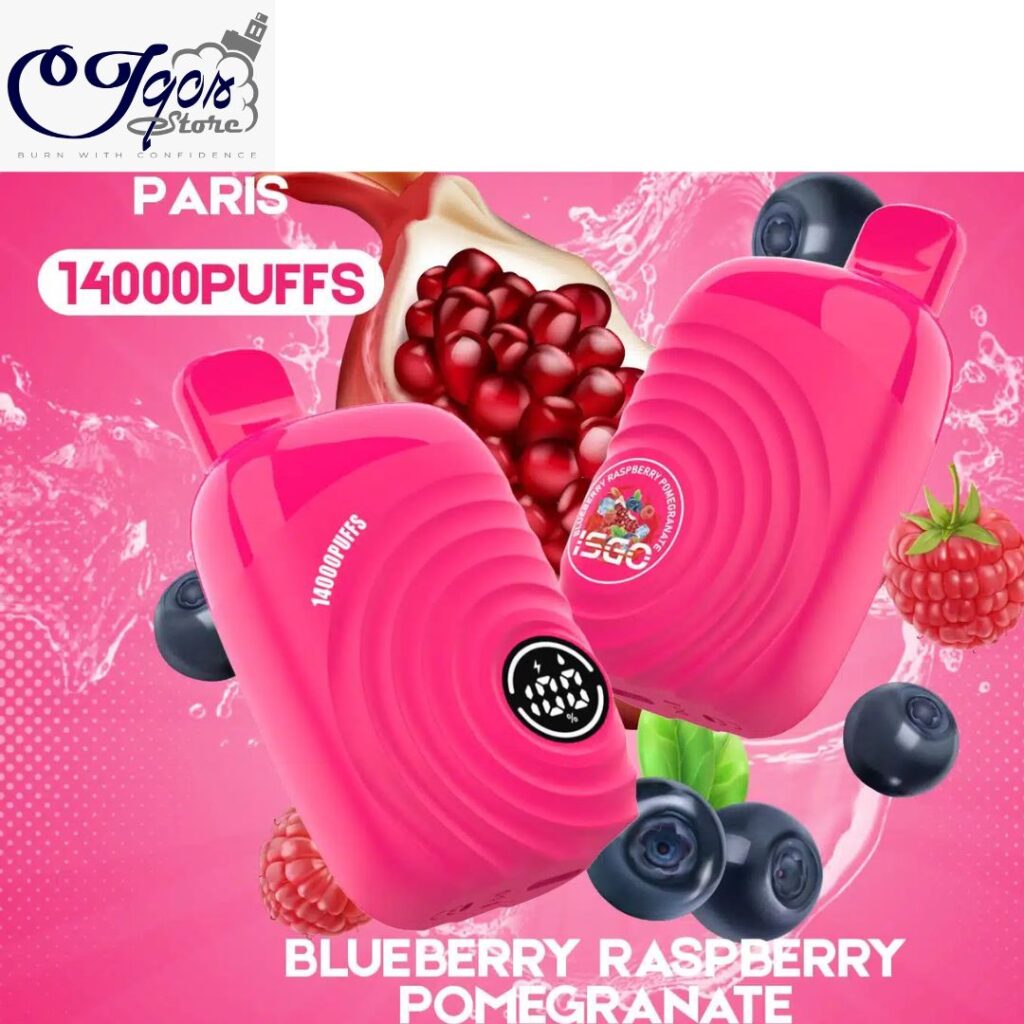 ISGO Paris 14000 Puffs Disposable Vape